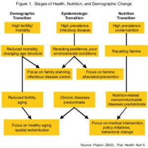 What is the Nutrition Transition? | Nutrition Transition Program